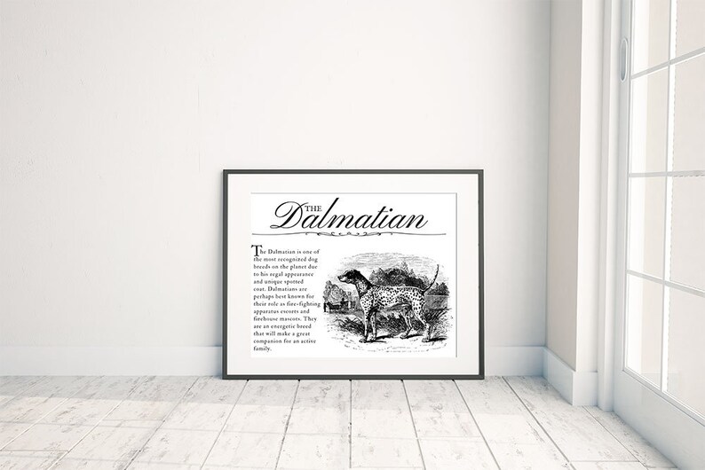 Dalmatian Typography Wall Art Printable Home Decor Print | Etsy