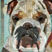 English Bulldog Collage Canvas Art – Gallery Wrapped Dog Lover Gift - Etsy