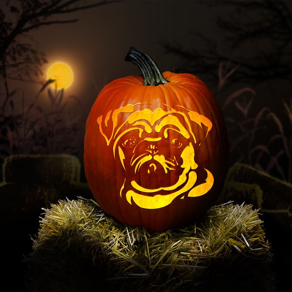 Pug Pumpkin Stencil - Etsy