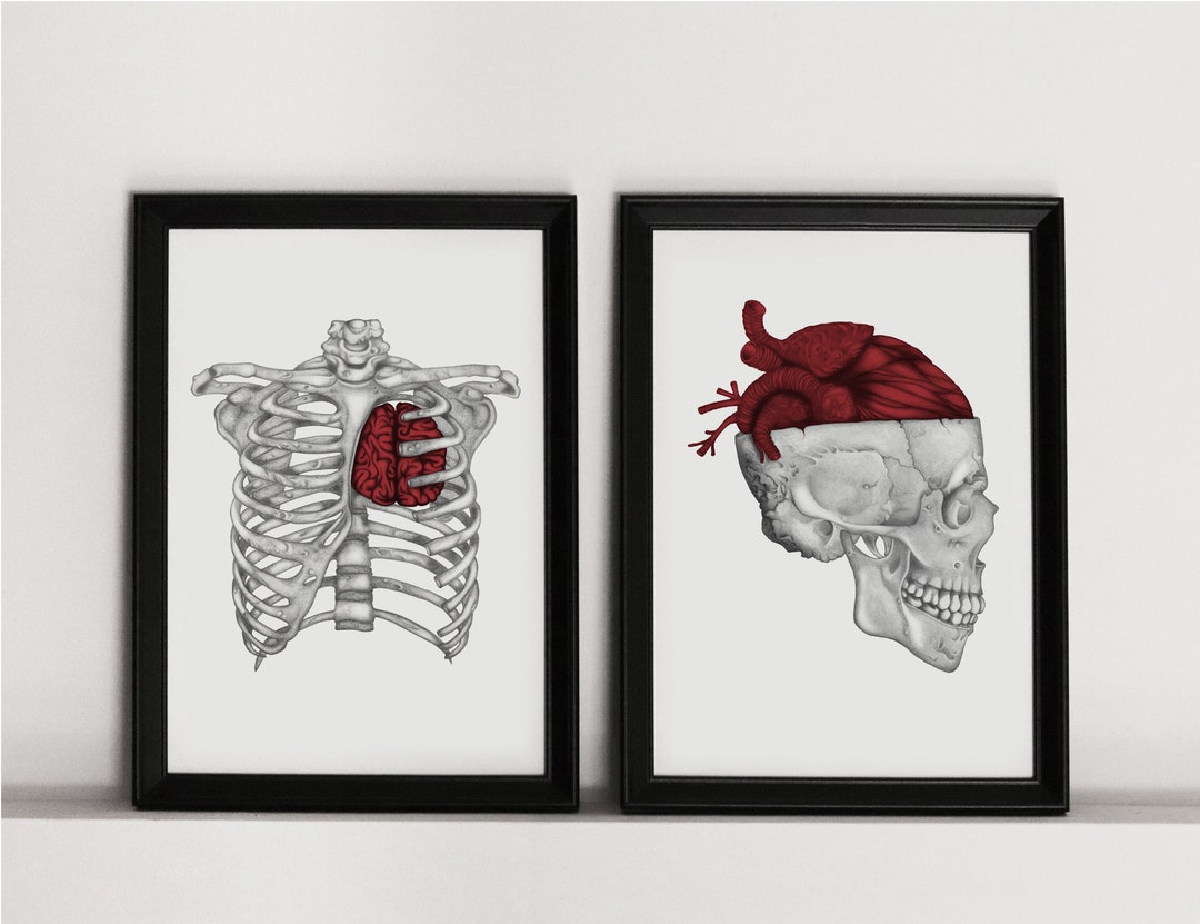 HEART + BRAIN Anatomy Duo Prints Set - Set of 2 Anatomical ...