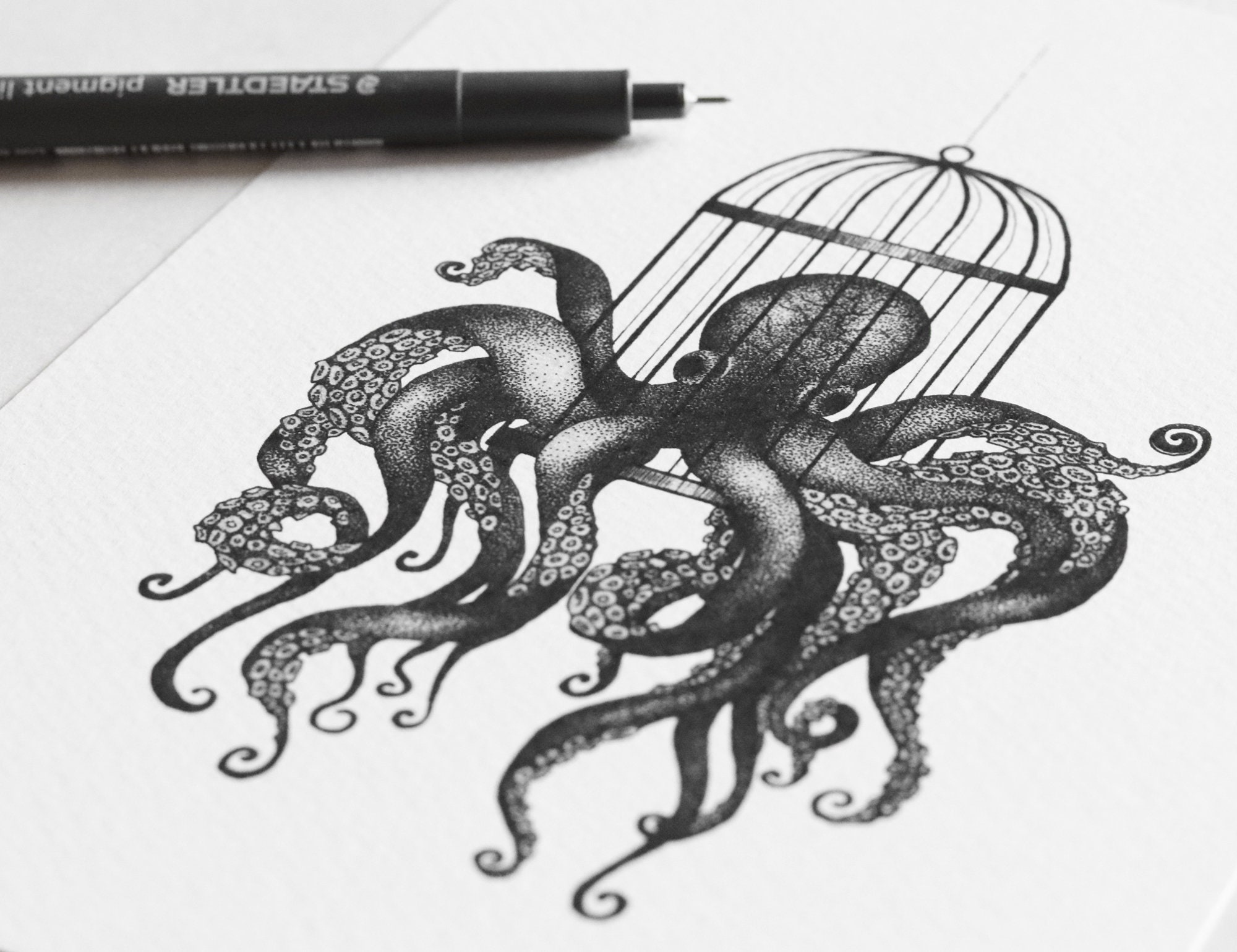 Octopus Drawings Tumblr