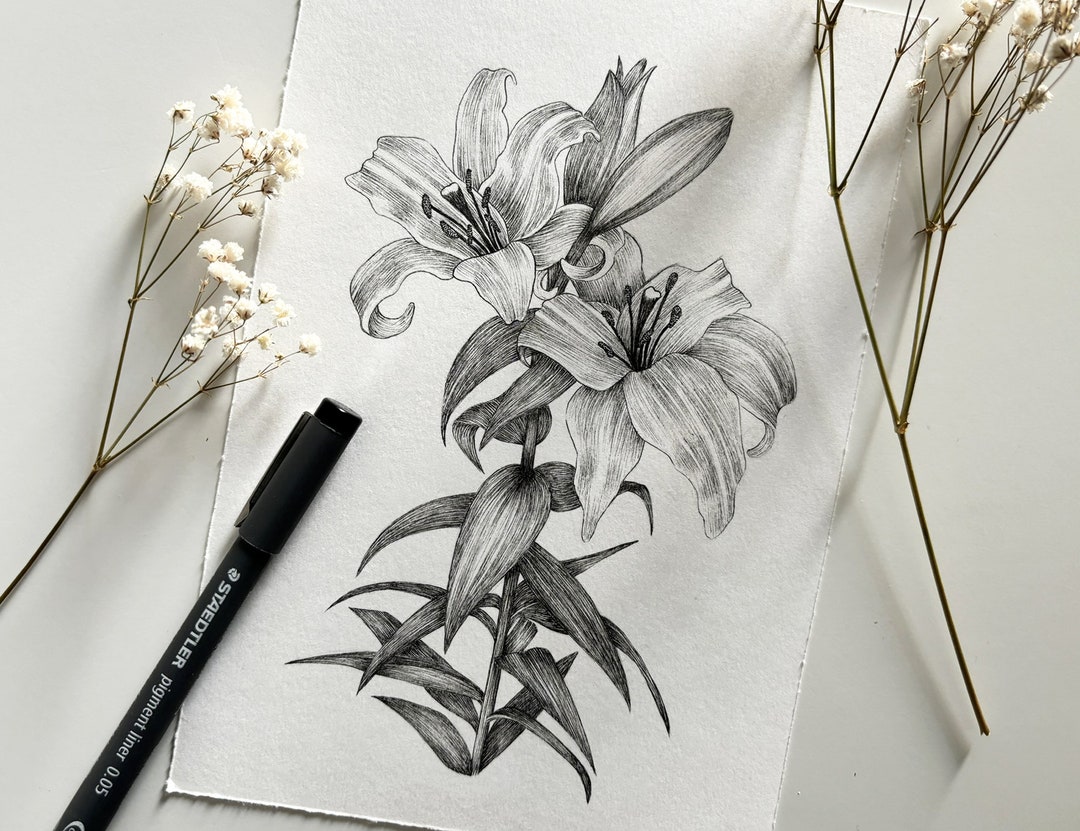 Lillies - Original Fine Line Ink Drawing of a Lily Flower Branch ...