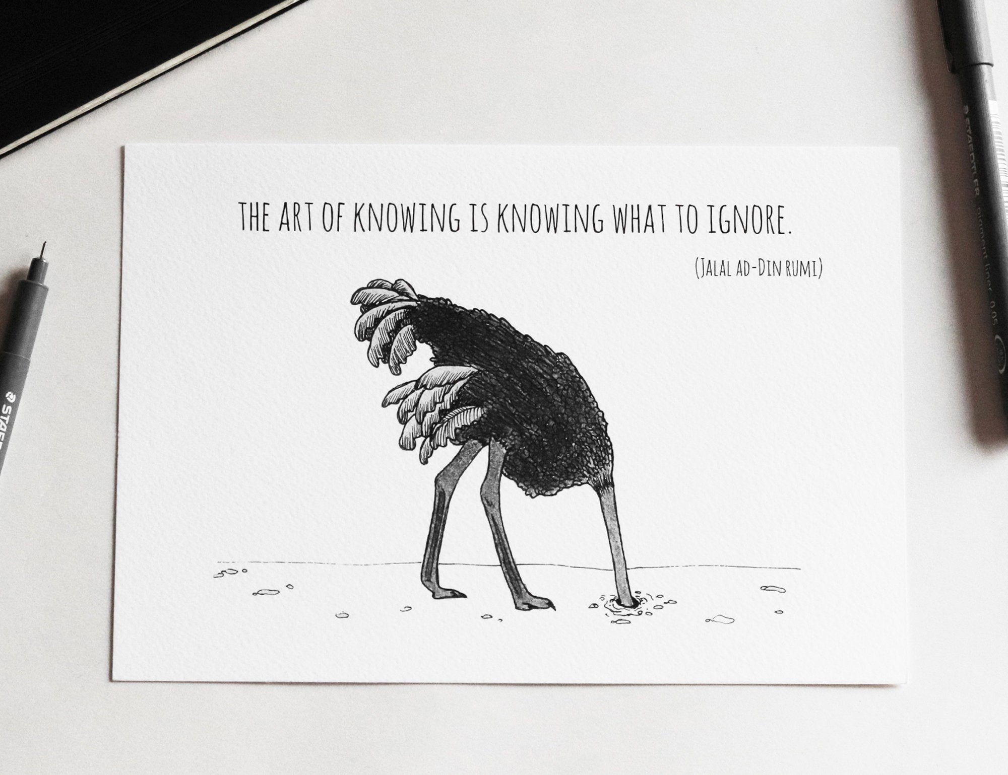 Ostrich Head In Sand Drawing