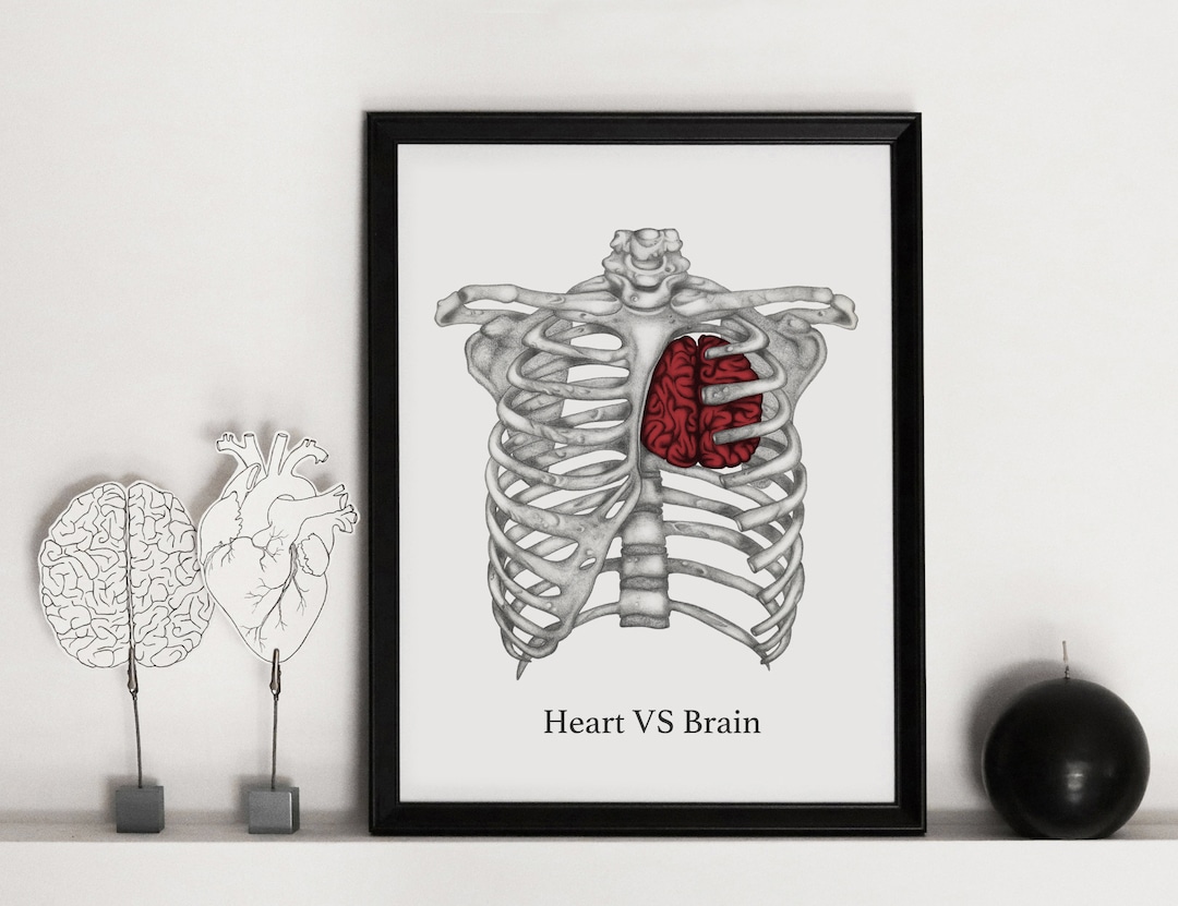 Print "heart VS Brain" - Anatomical Illustration of a Rib Cage With a ...