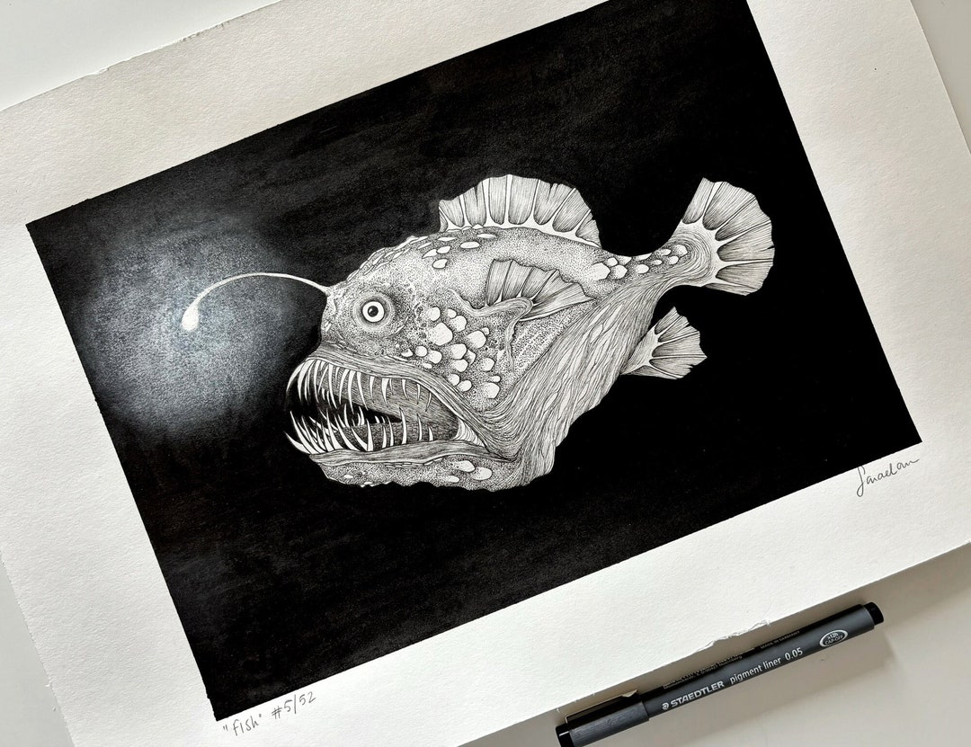 Deep-sea Fish Original Drawing of a Fish of the Deep With Lantern Light ...