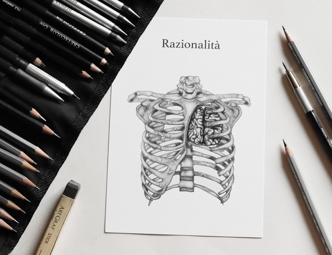 Anatomical Illustration Art Print – Rationality | Metaphoric Anatomy ...
