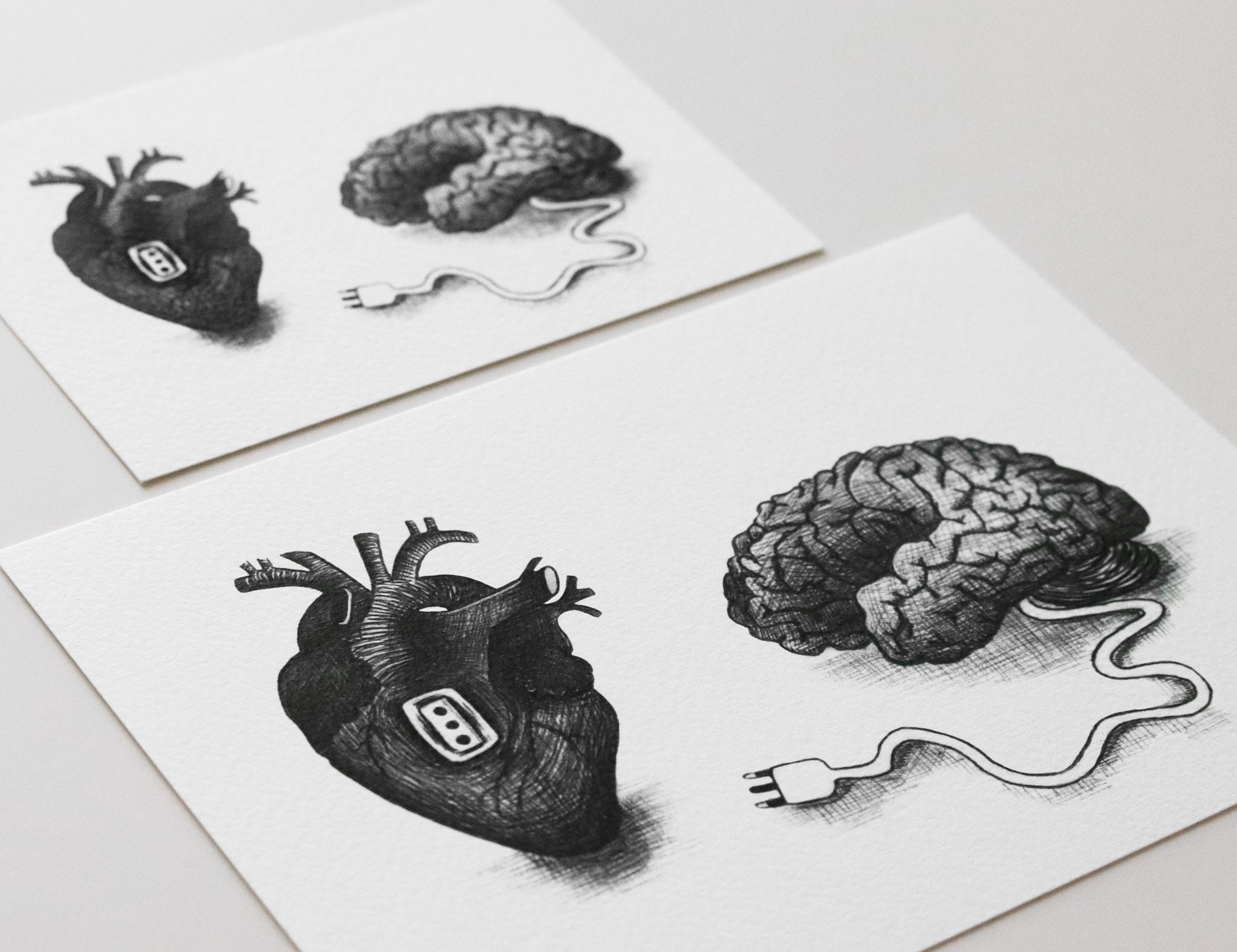 Brain And Heart Tumblr