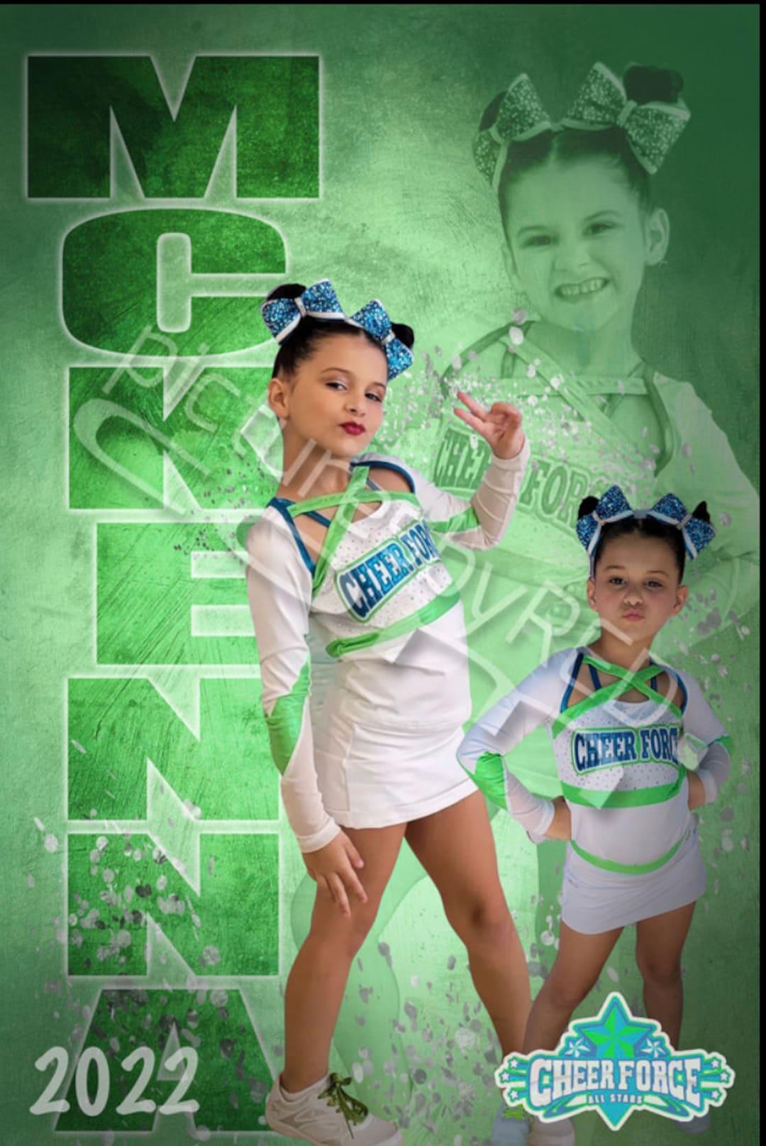 Printed Vinyl + FREE Social Media Digital Cheer Leader Banner - Senior ...