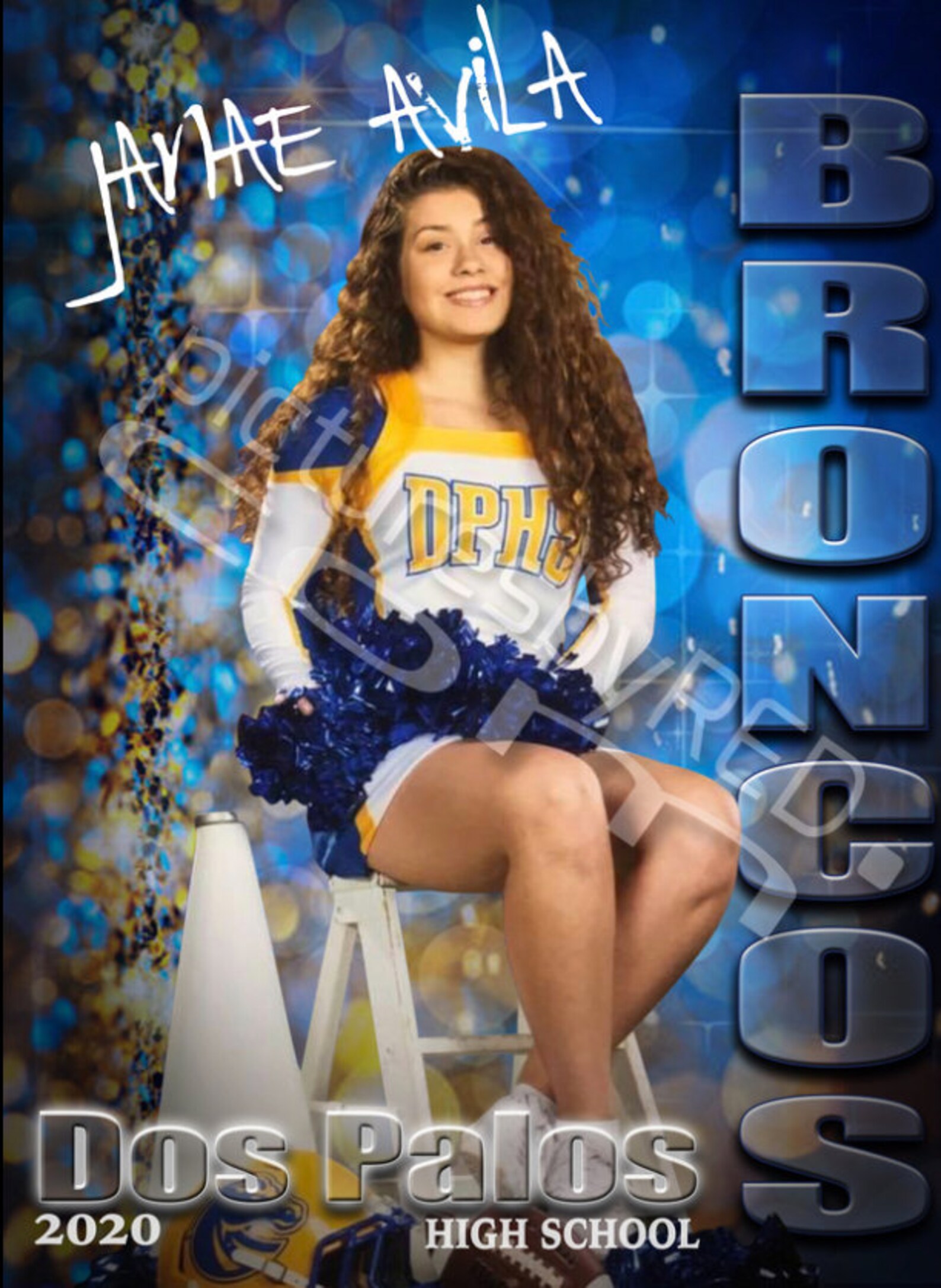 Printed Vinyl Banners - Cheer Leader Sports Banner - Senior Sports ...