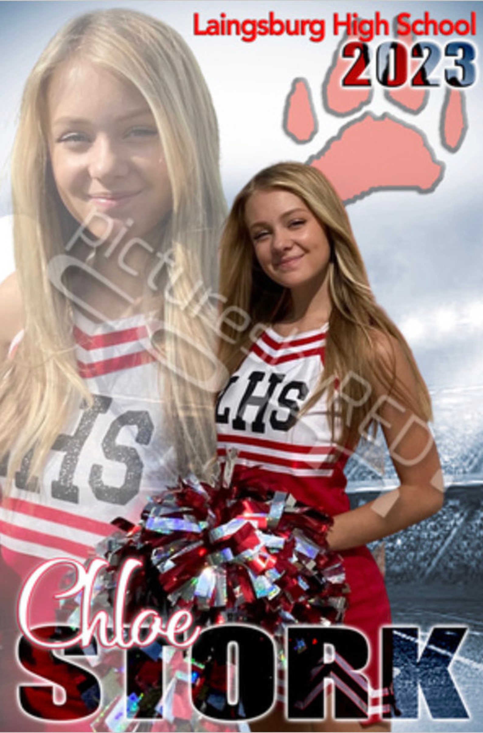 Printed Vinyl Cheer Leader Custom Sports Banner Senior - Etsy