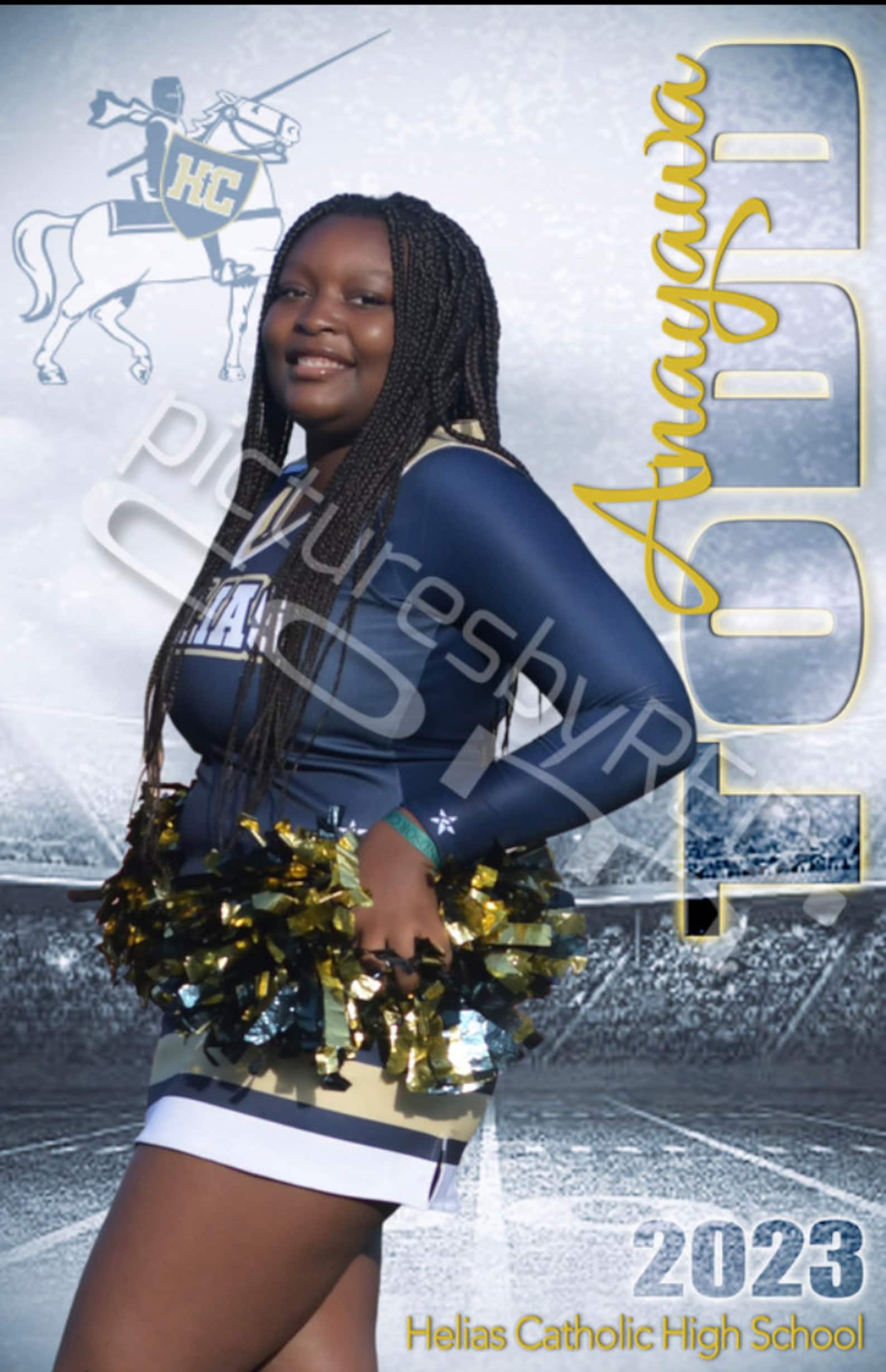 Printed Vinyl Banners - Cheer Leader Sports Banner - Senior Sports ...