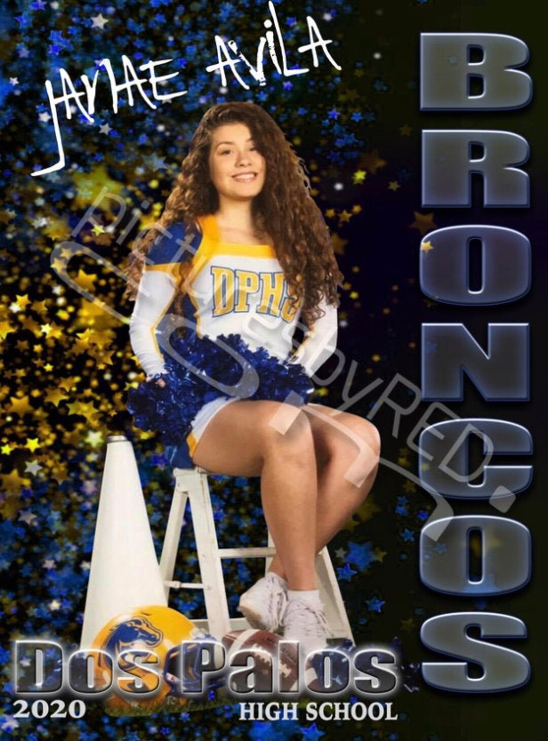 Printed Vinyl Cheer Leader Custom Sports Banner - Senior Sports Banners ...