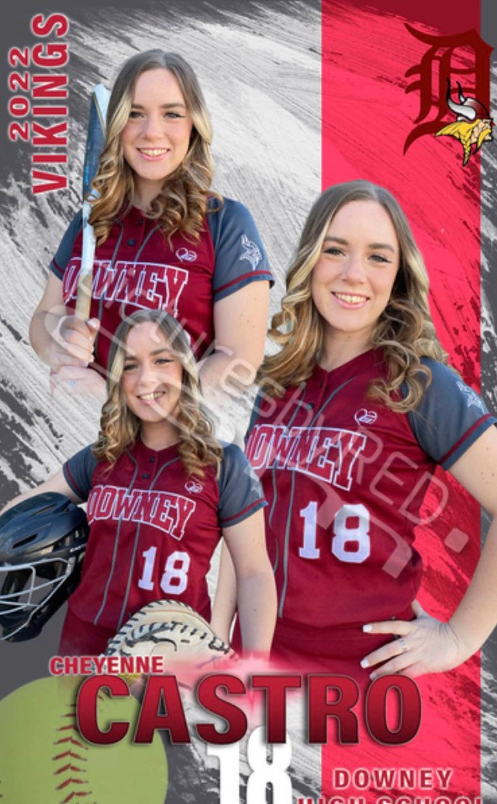 Printed Vinyl Softball Custom Sports Banner Senior Sports - Etsy