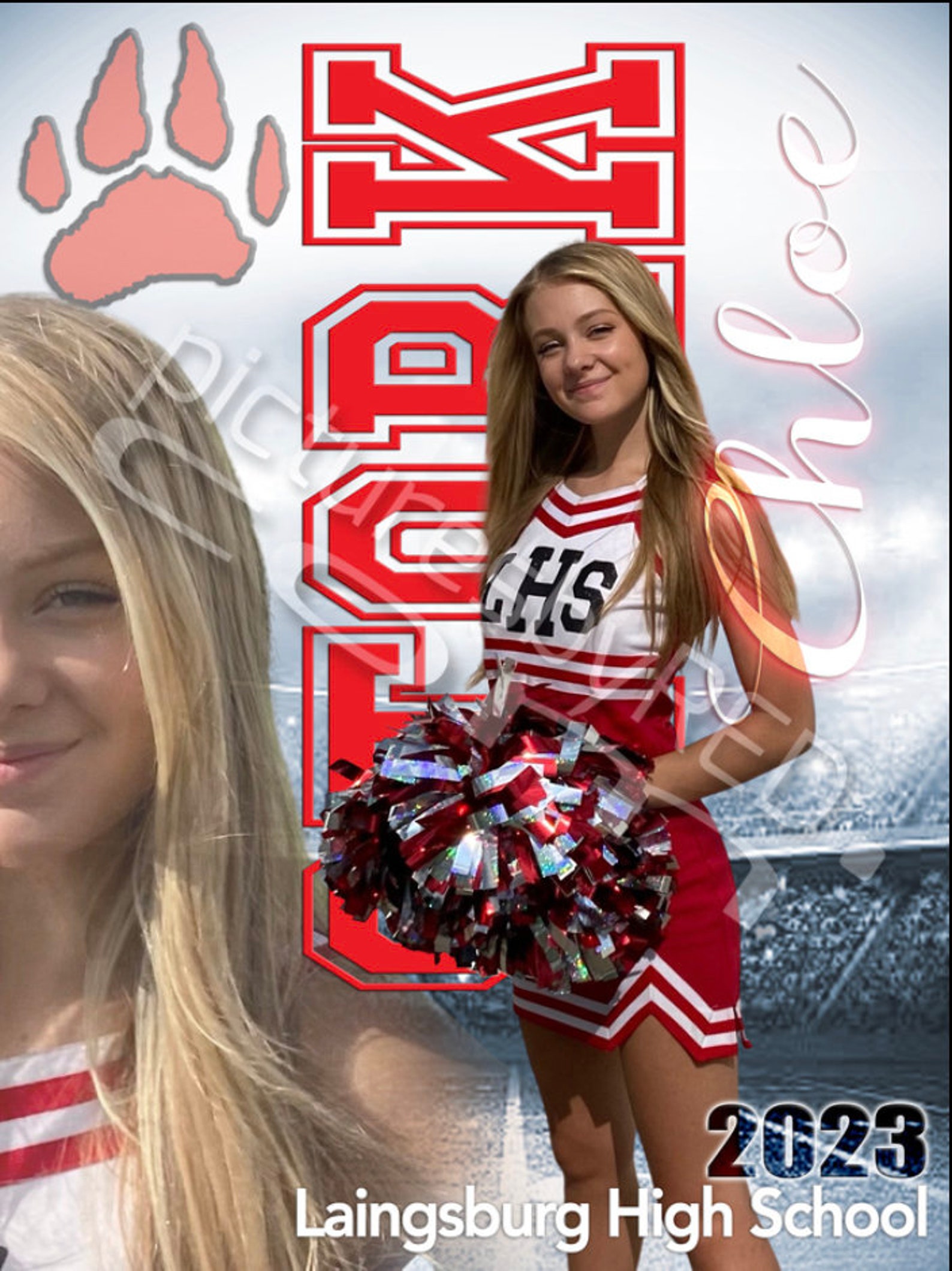 Printed Vinyl Banners Cheer Leader Sports Banner Senior - Etsy