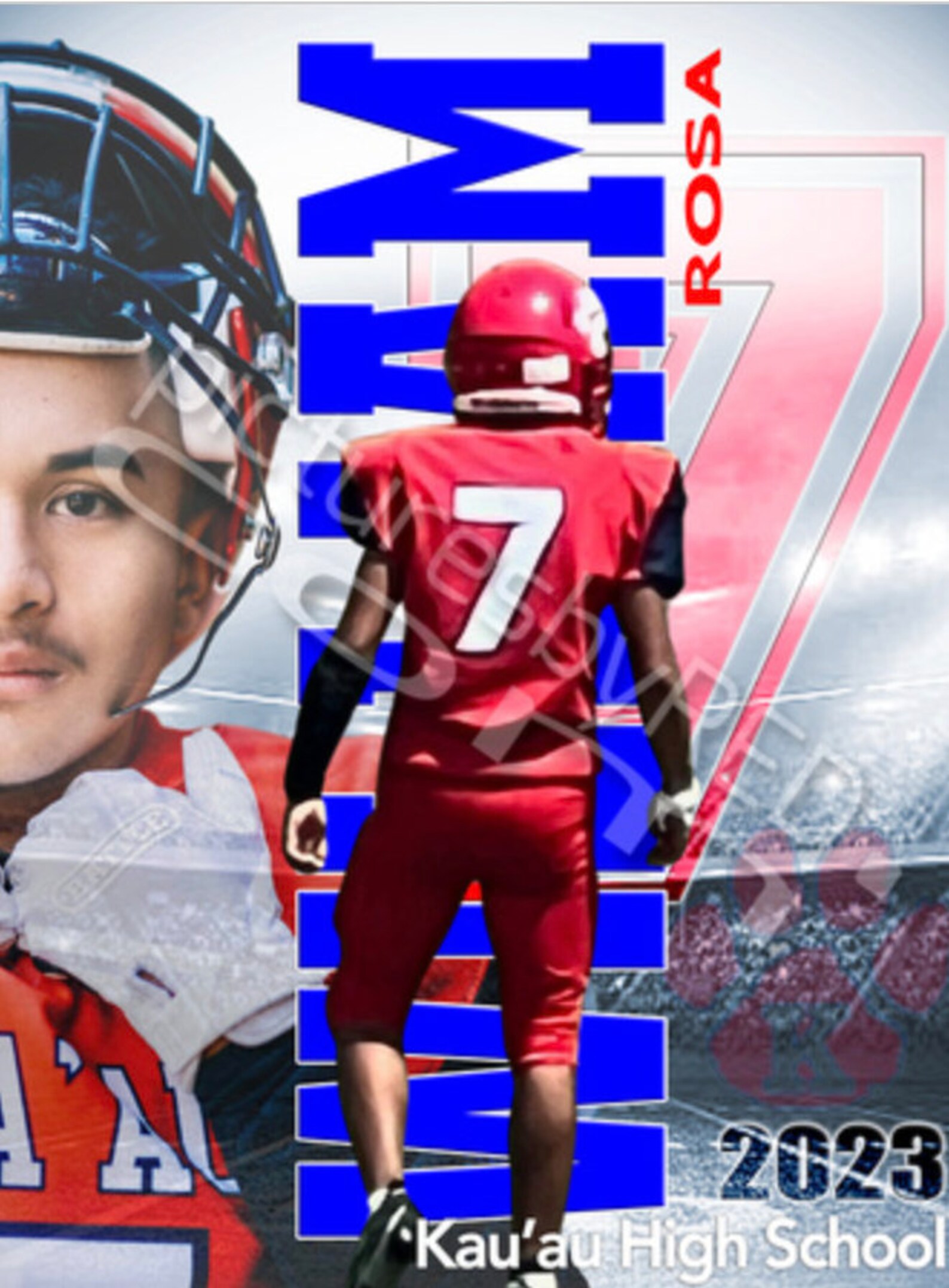 Printed Vinyl Football Custom Sports Banner Senior Sports - Etsy