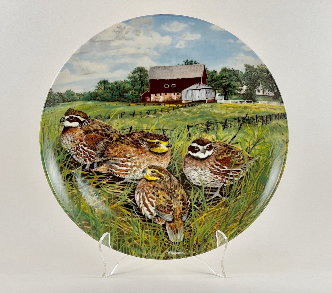 Vintage 1987 "the Quail" Collectible Plate - Upland Birds Series - Etsy