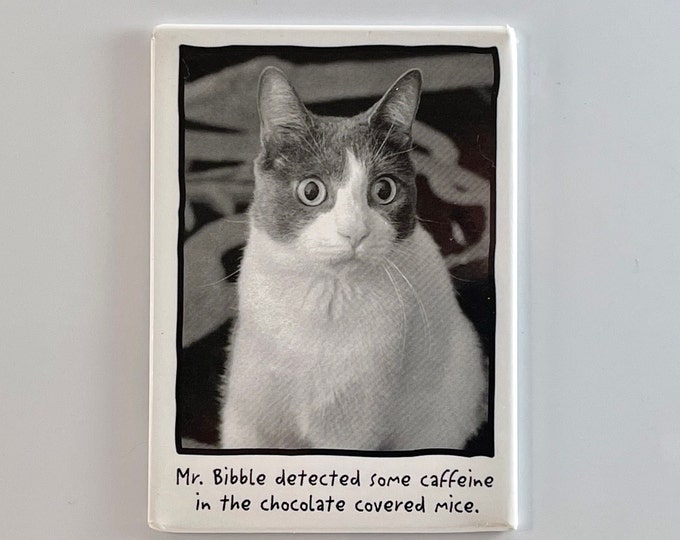 Vintage 1990s Kat Caverly Enterprises the Photocartoonist Mr. Bibble ...