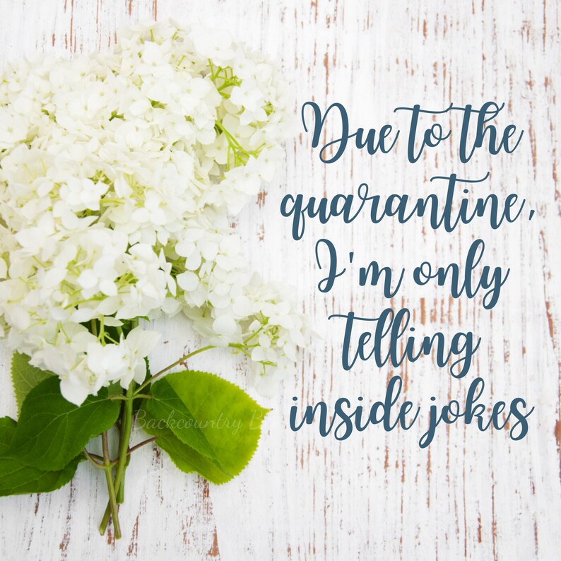 Custom Graphic Pack Backgrounds - Etsy