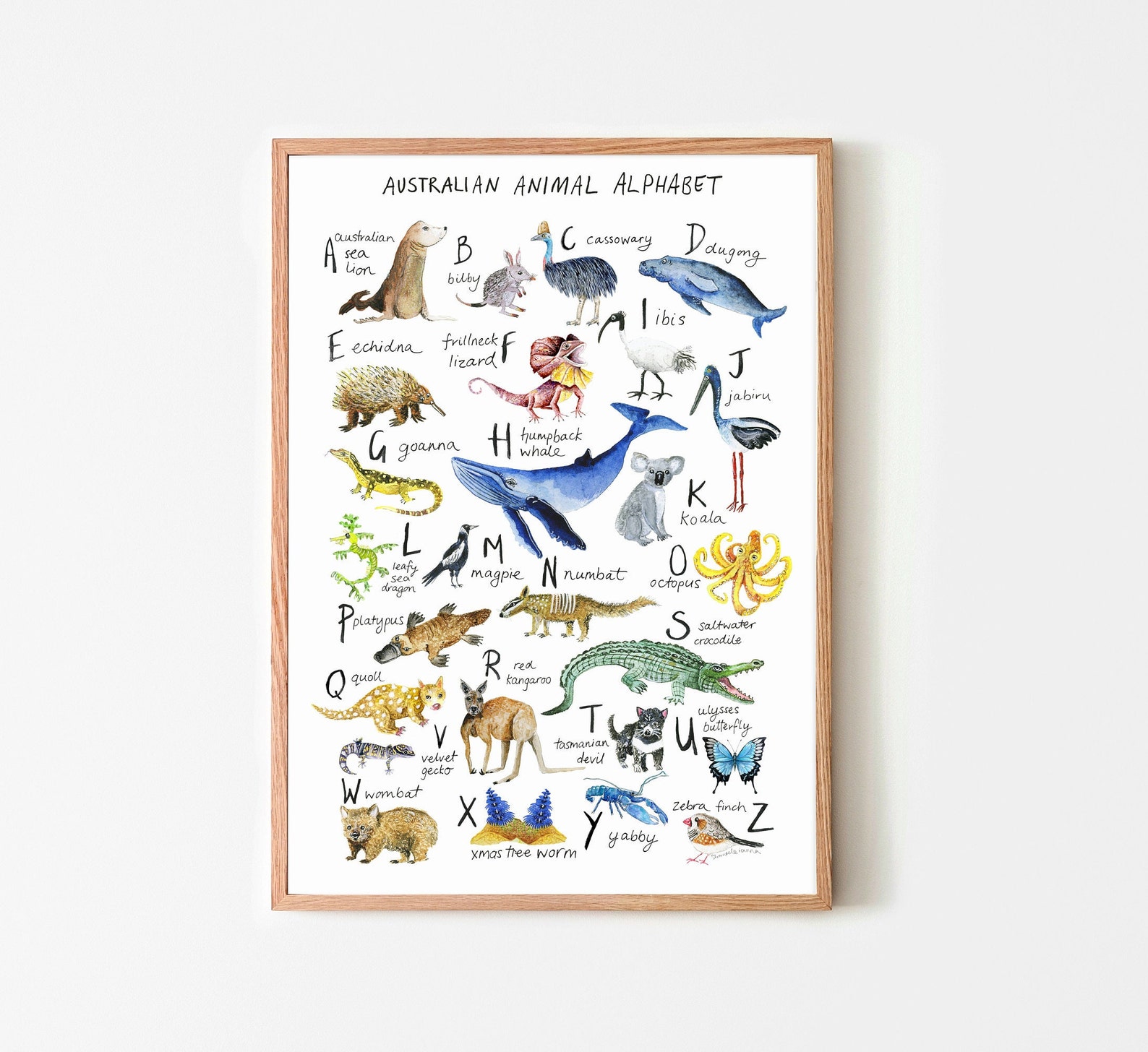 Alphabet Nursery Art Animal Poster ABC Australian Animal - Etsy Australia