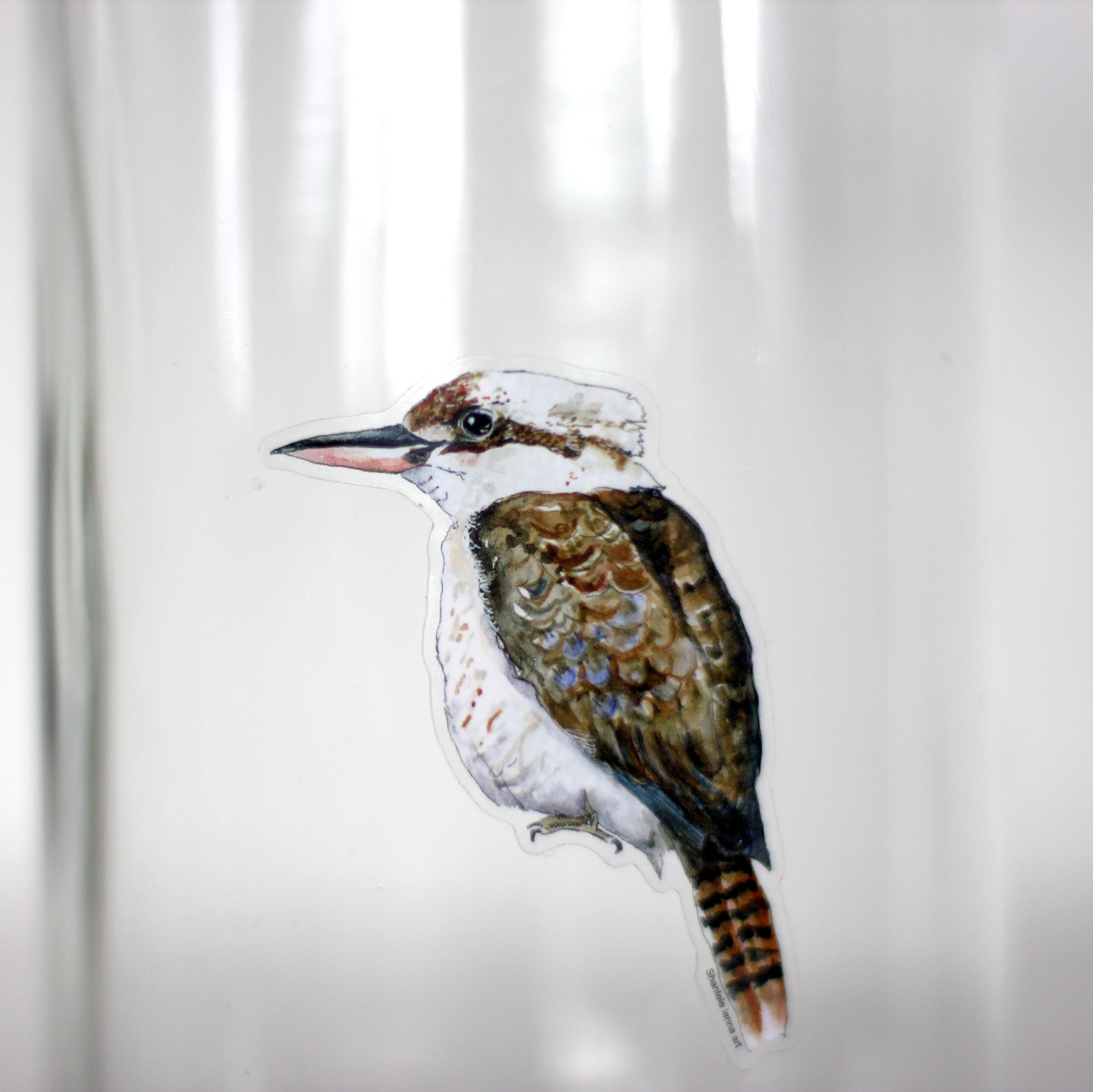 Kookaburra Sticker Waterproof Sticker Vinyl Sticker Outdoor - Etsy ...