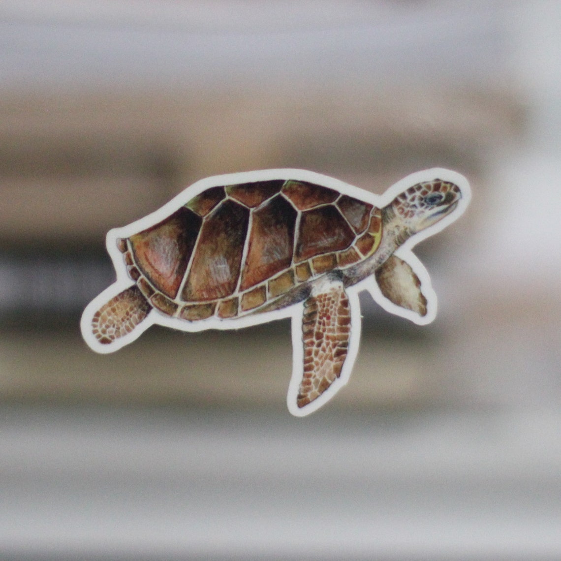 Turtle Sticker Vinyl Sticker Waterproof Sticker Watercolour - Etsy ...