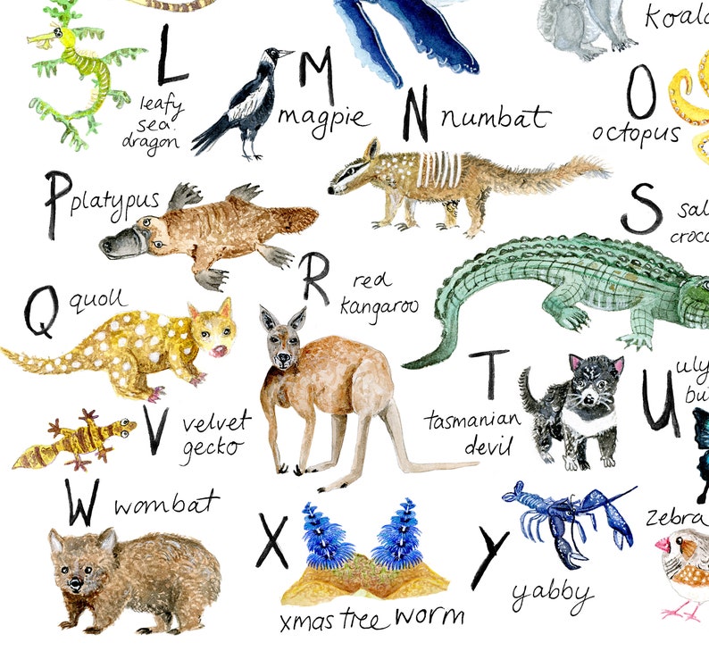 Alphabet nursery art animal poster ABC Australian animal | Etsy