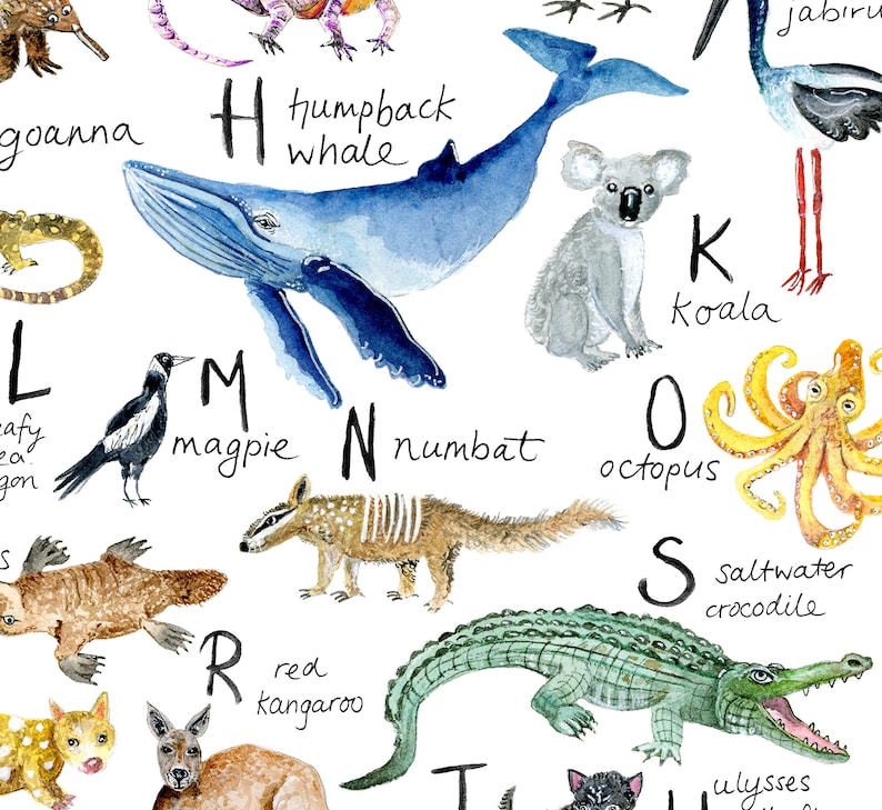 Alphabet Nursery Art Animal Poster ABC Australian Animal - Etsy Australia