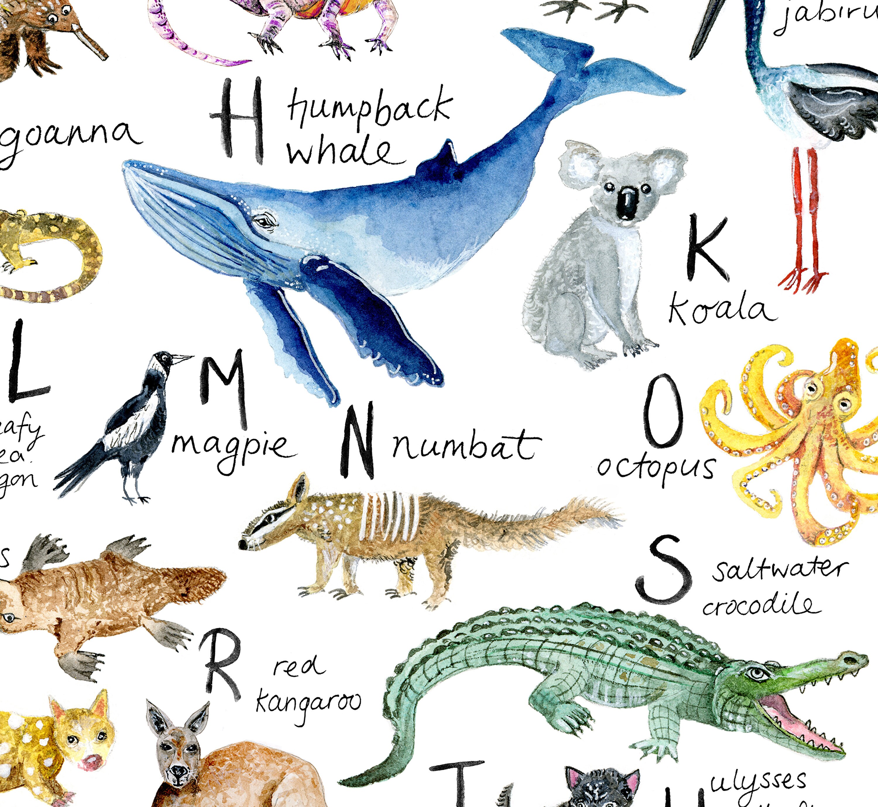 Alphabet Nursery Art Animal Poster ABC Australian Animal - Etsy Australia
