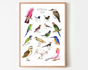 Bird Poster | Etsy Australia