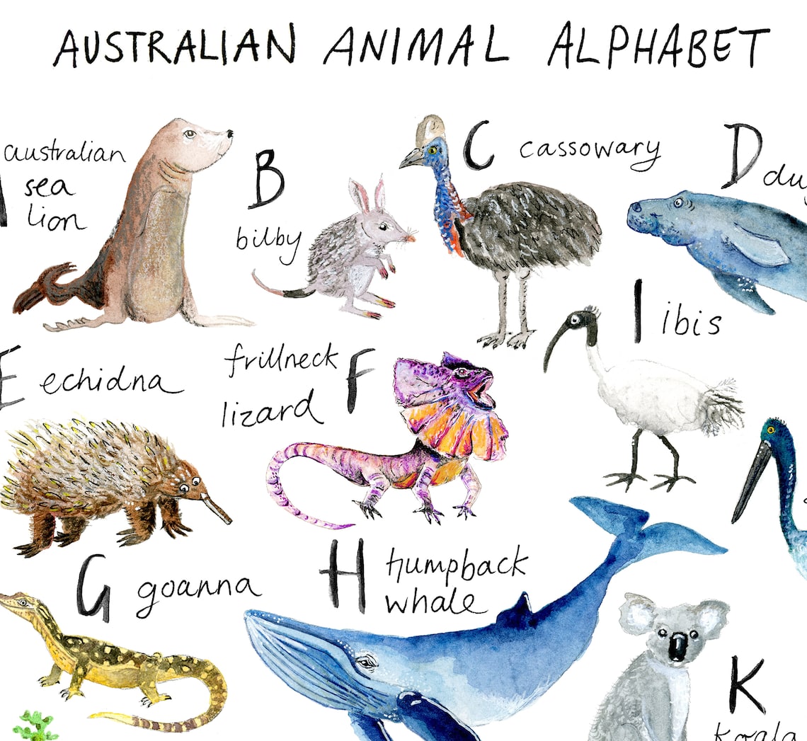 Alphabet nursery art animal poster ABC Australian animal | Etsy