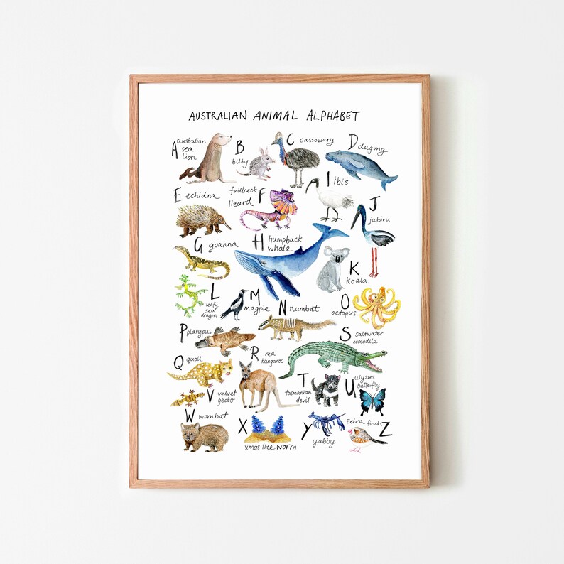 Alphabet nursery art animal poster ABC Australian animal | Etsy