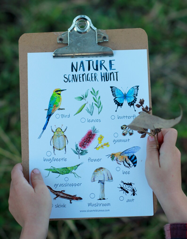 Nature Scavenger Hunt Printable: Outdoor Kid's Activity (digital ...