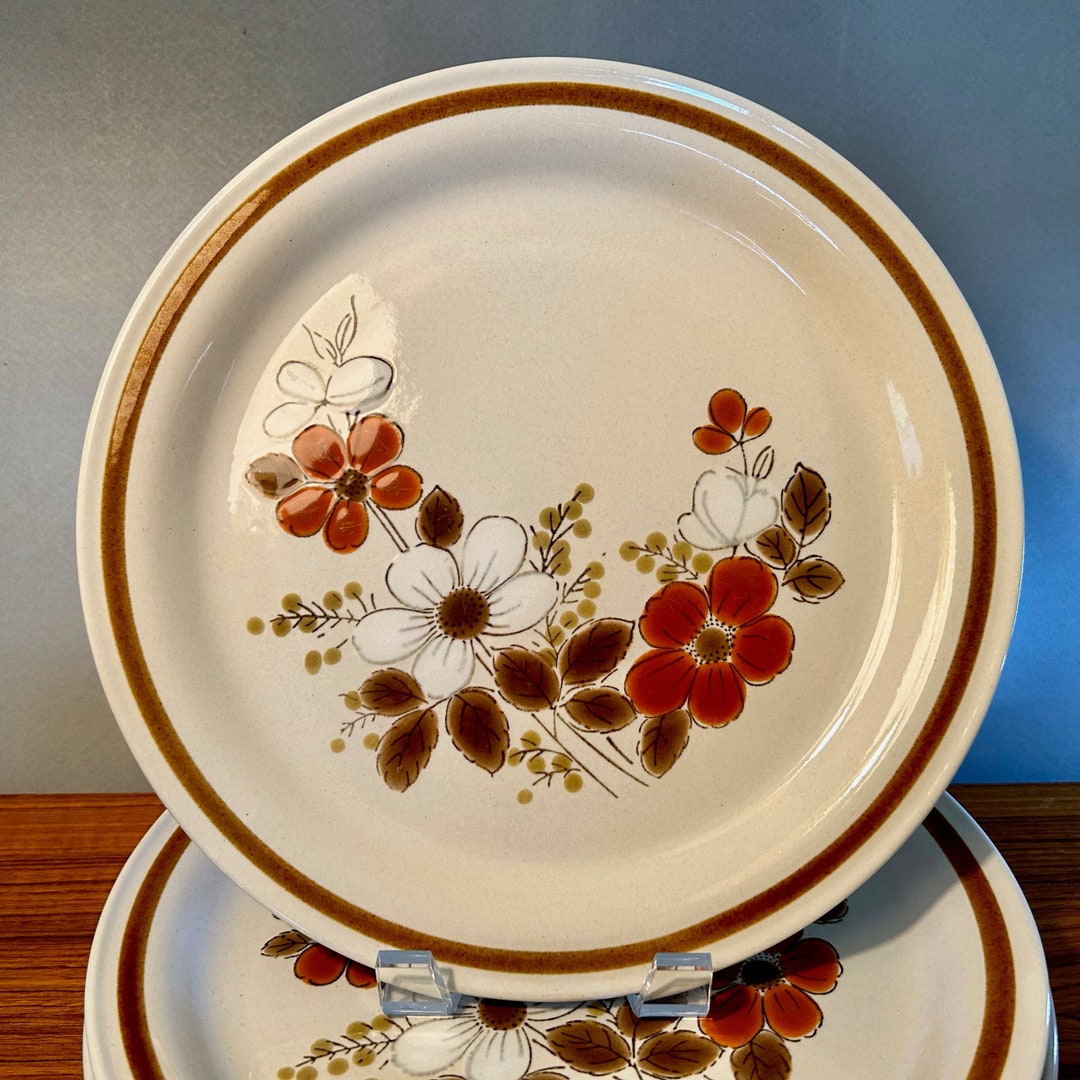 1 SET LEFT! Set of 4 Vintage "mountain Floral" Dinner Plates From the ...