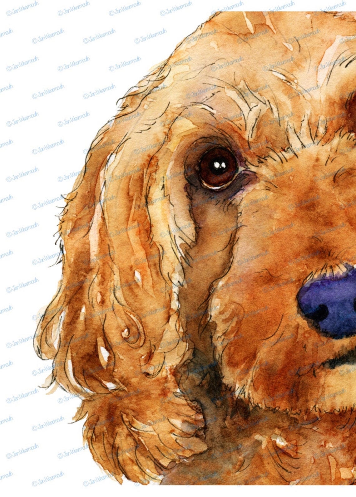 Watercolor dog clipart. Digital art download golden cockapoo | Etsy