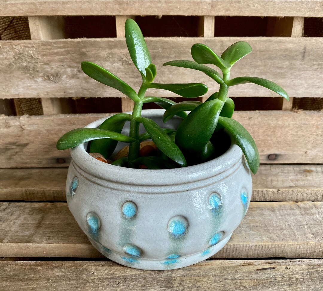 Stoneware Succulent Planter - Spotted Pottery Planter - Dark Clay ...