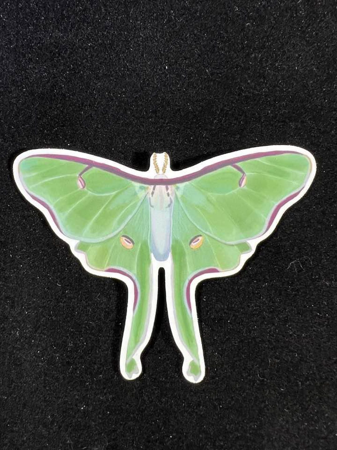Luna Moth Fine Art Sticker 3 Waterproof Vinyl by Inky Creatures - Etsy