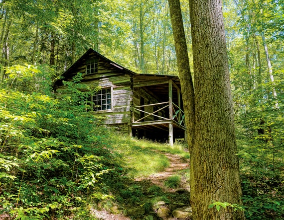 Avent Cabin in Spring - Etsy