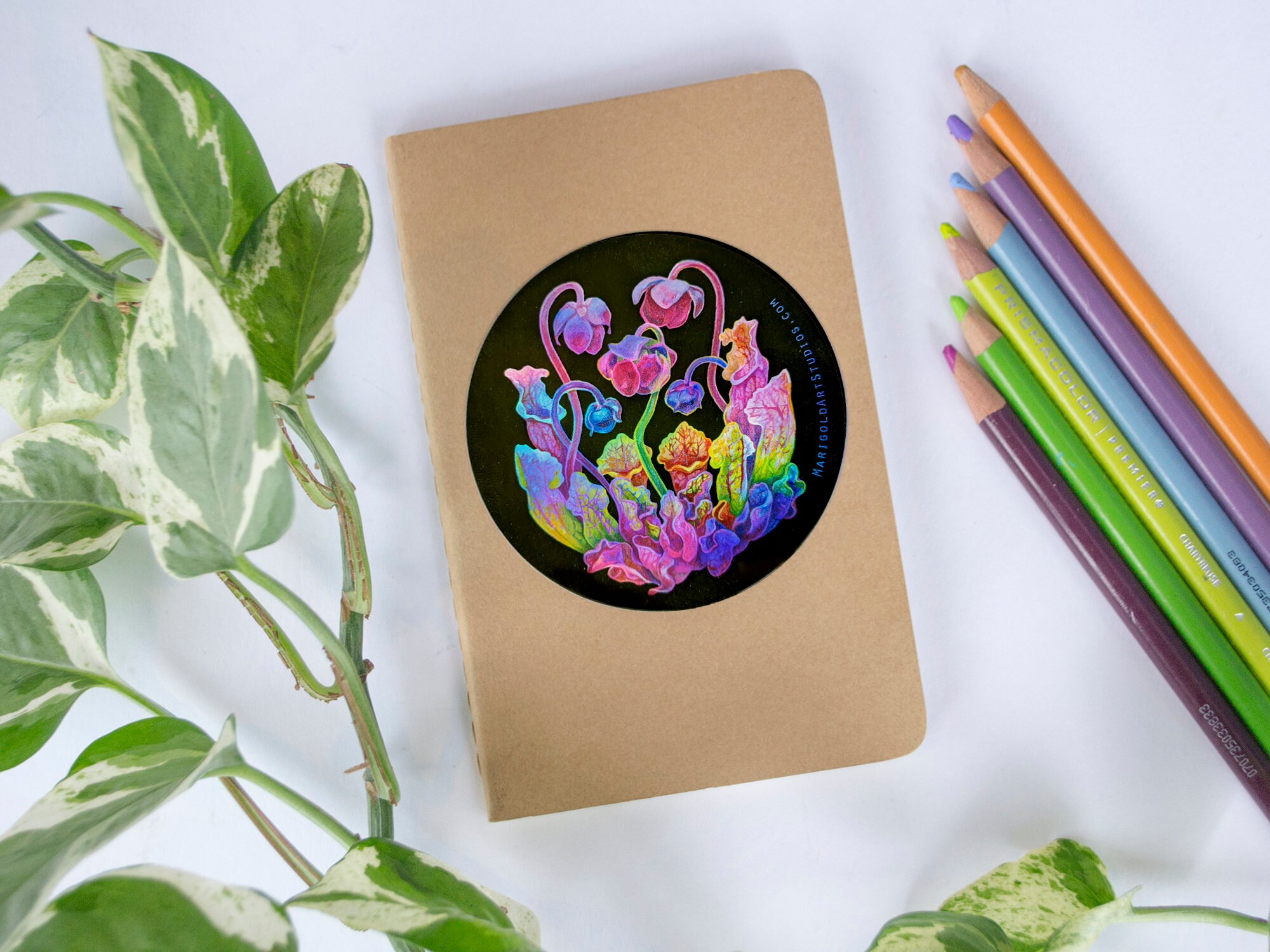 Holographic Pitcher Plant Sticker, 3" Circle Vinyl Decal, Art Nouveau ...
