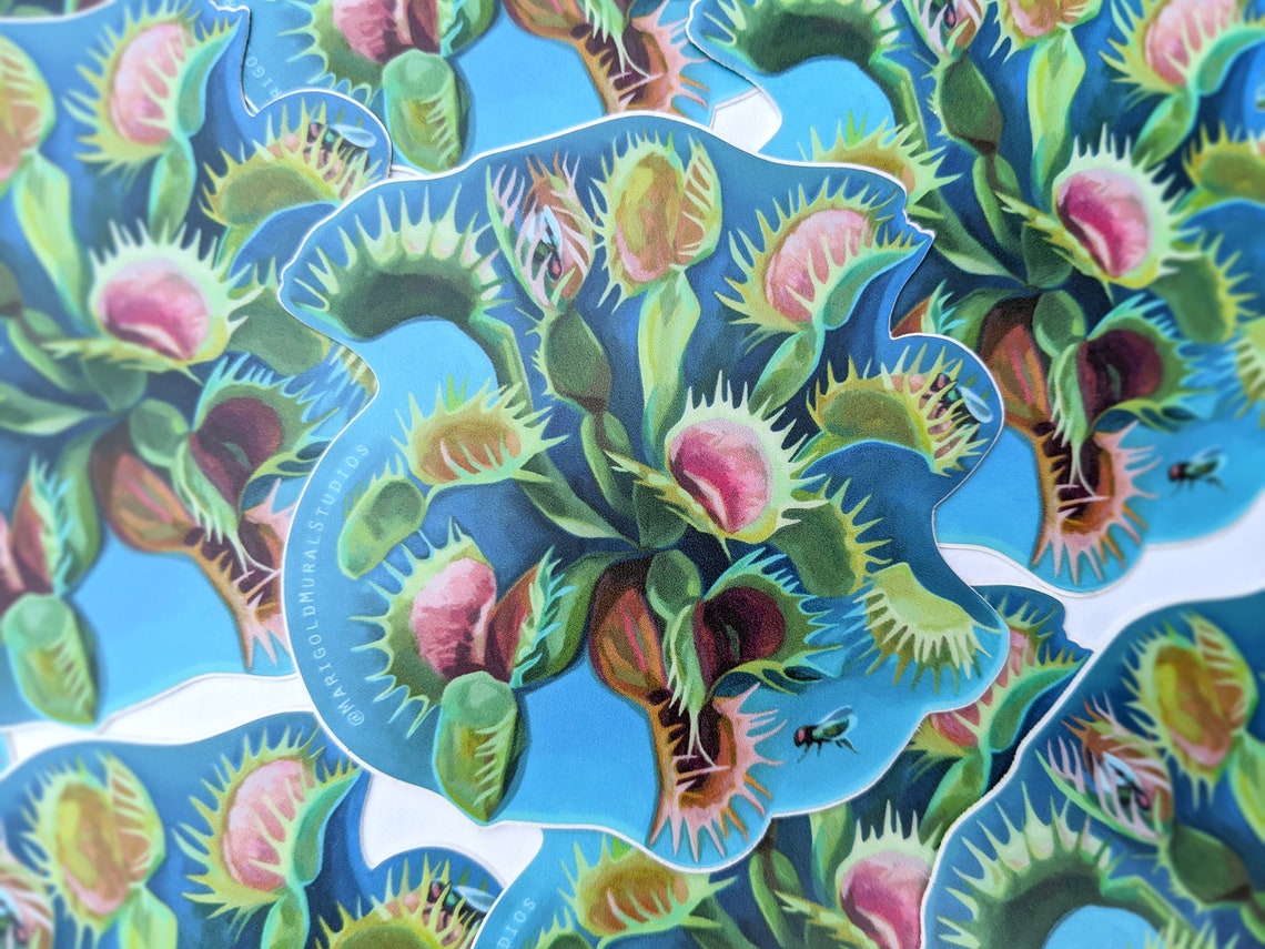 Venus Fly Trap Sticker 3 Die Cut Vinyl Decal - Etsy