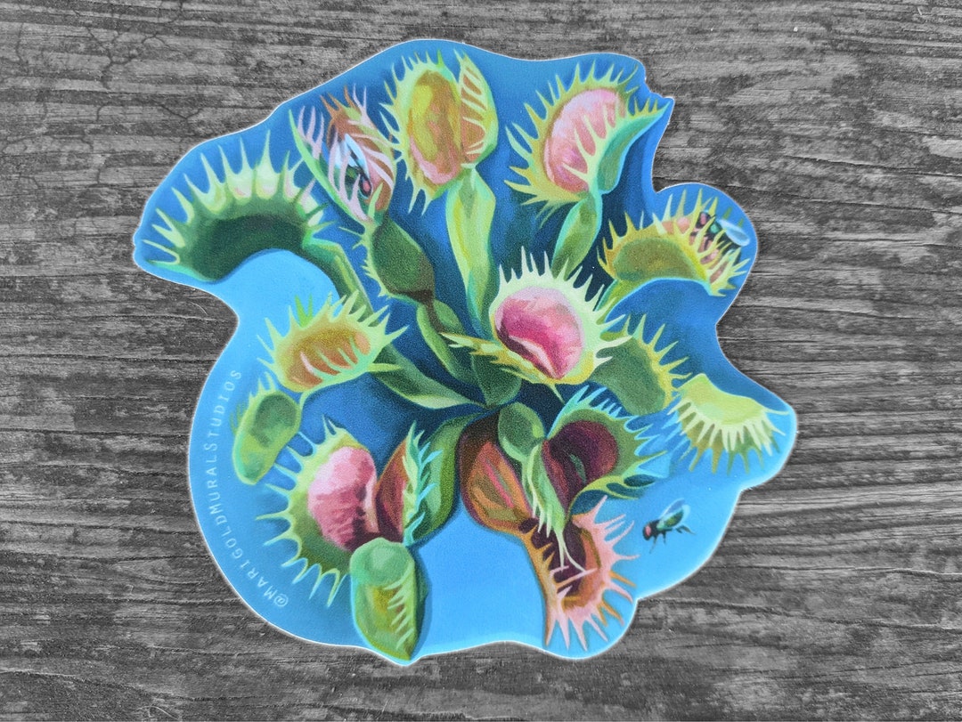 Venus Fly Trap Sticker, 3" Die Cut Vinyl Decal, Waterproof and ...