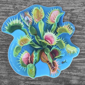 Venus Fly Trap Sticker, 3 Die Cut Vinyl Decal, Waterproof and Dishwasher Safe, Carnivorous ...