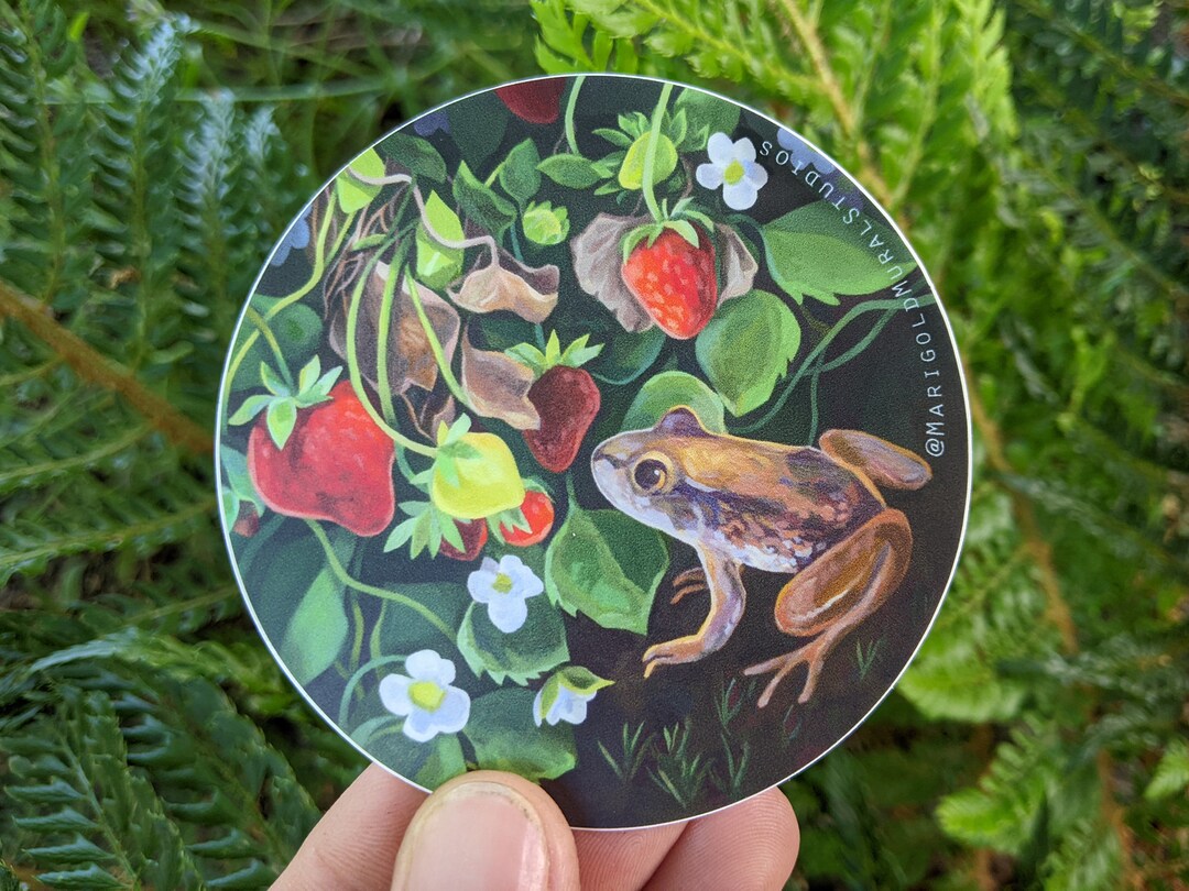 Strawberry Frog Sticker, 3" Vinyl Decal, Circle, Green, Red, Waterproof ...