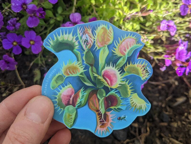 Venus Fly Trap Sticker 3 Die Cut Vinyl Decal - Etsy