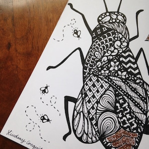Zentangle, Pen and Ink Zentangle, Pen and Ink Drawing, Lightning Bug ...