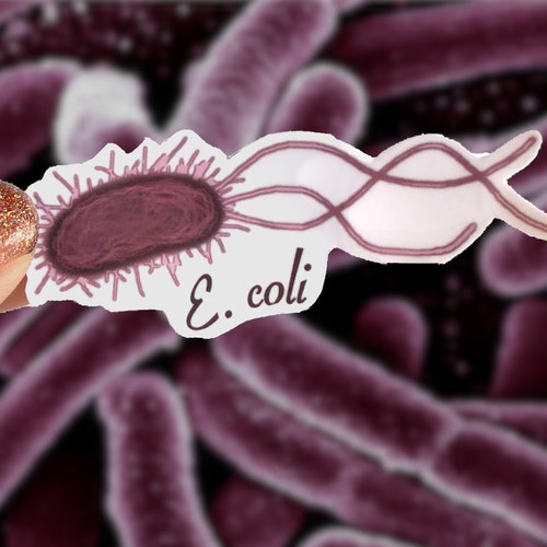 Dietitian Gifts Dietitian Sticker Dietician Gift | Etsy