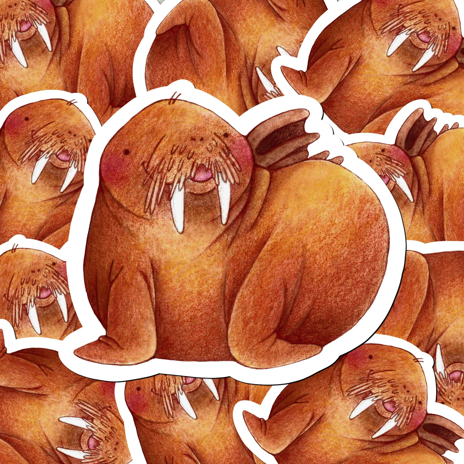 Walrus Sticker Animal Sticker Happy Walrus Sticker Cute | Etsy