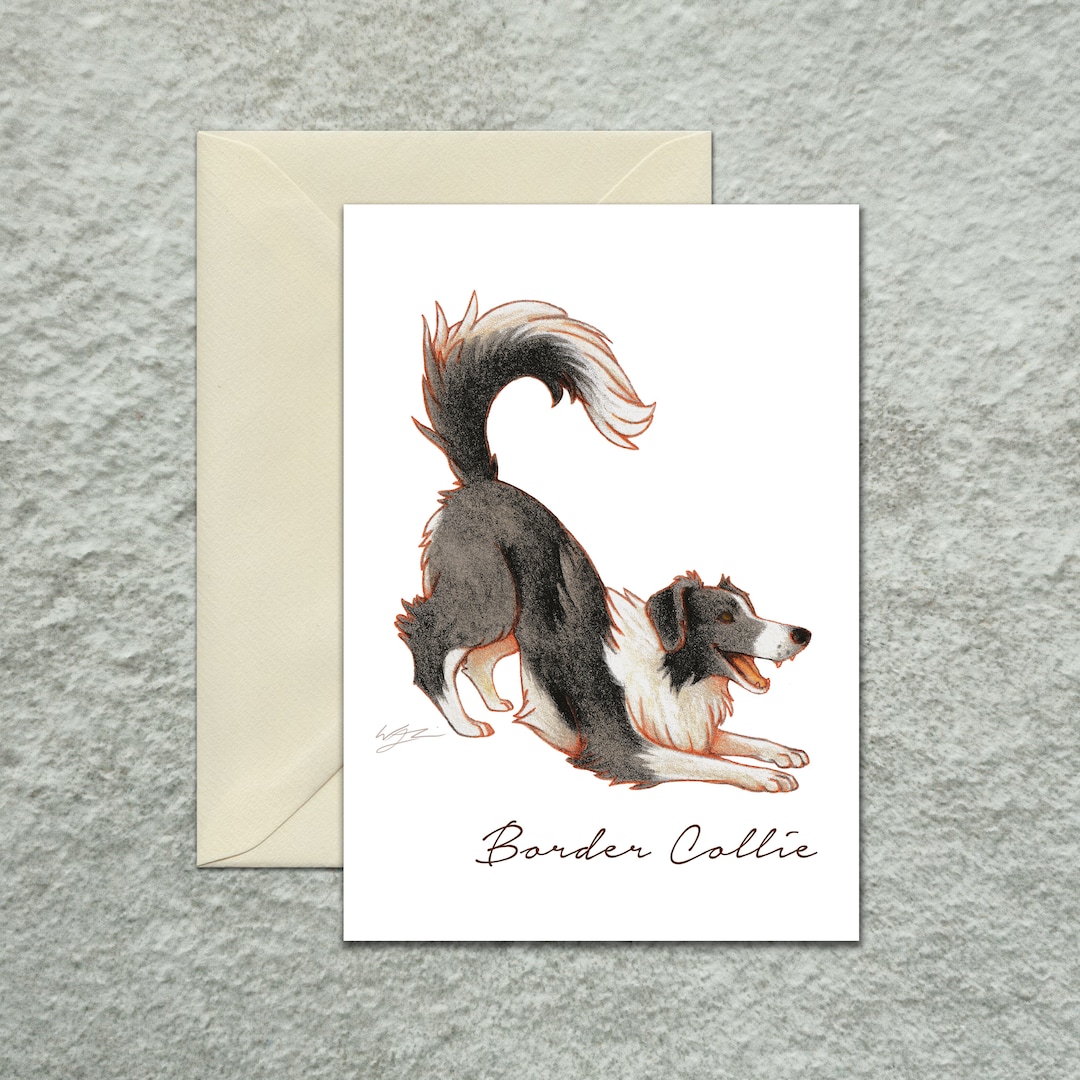 Border Collie Greeting Card Multi-pack, Dog Greeting Card, Blank ...