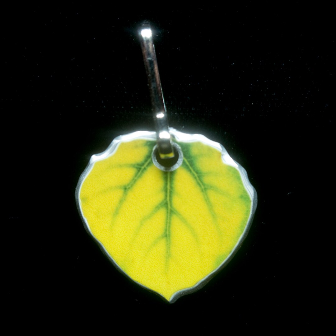 Green & Yellow Aspen Leaf Zipper Pull 1 - Etsy