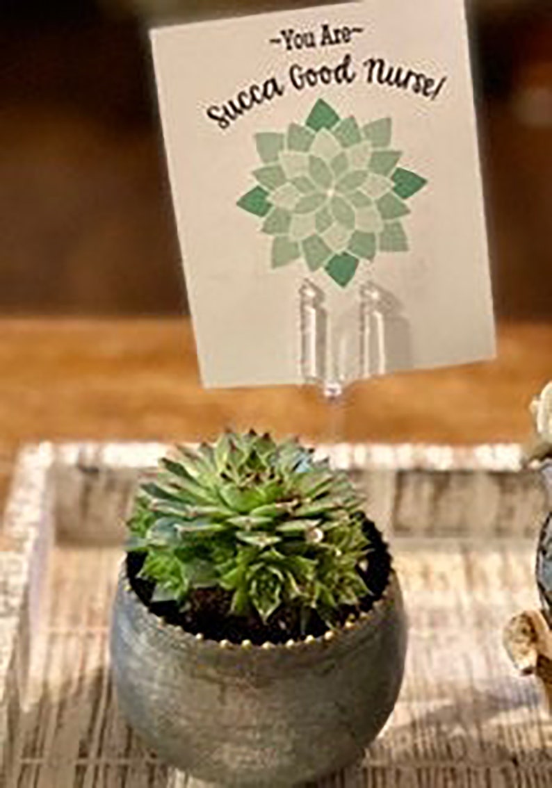 Succulent Gift Tag Printable, Teacher Nurse Appreciation (PDF) - Etsy