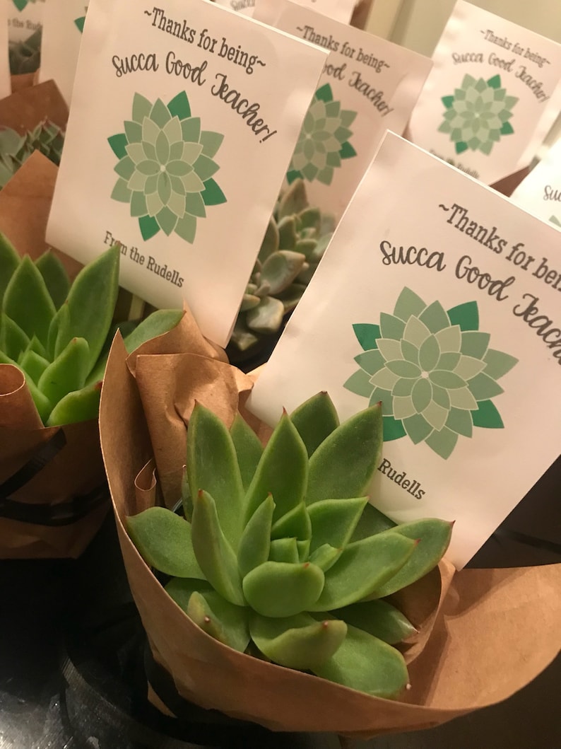Succulent Gift Tag Printable, Teacher Nurse Appreciation (PDF) - Etsy